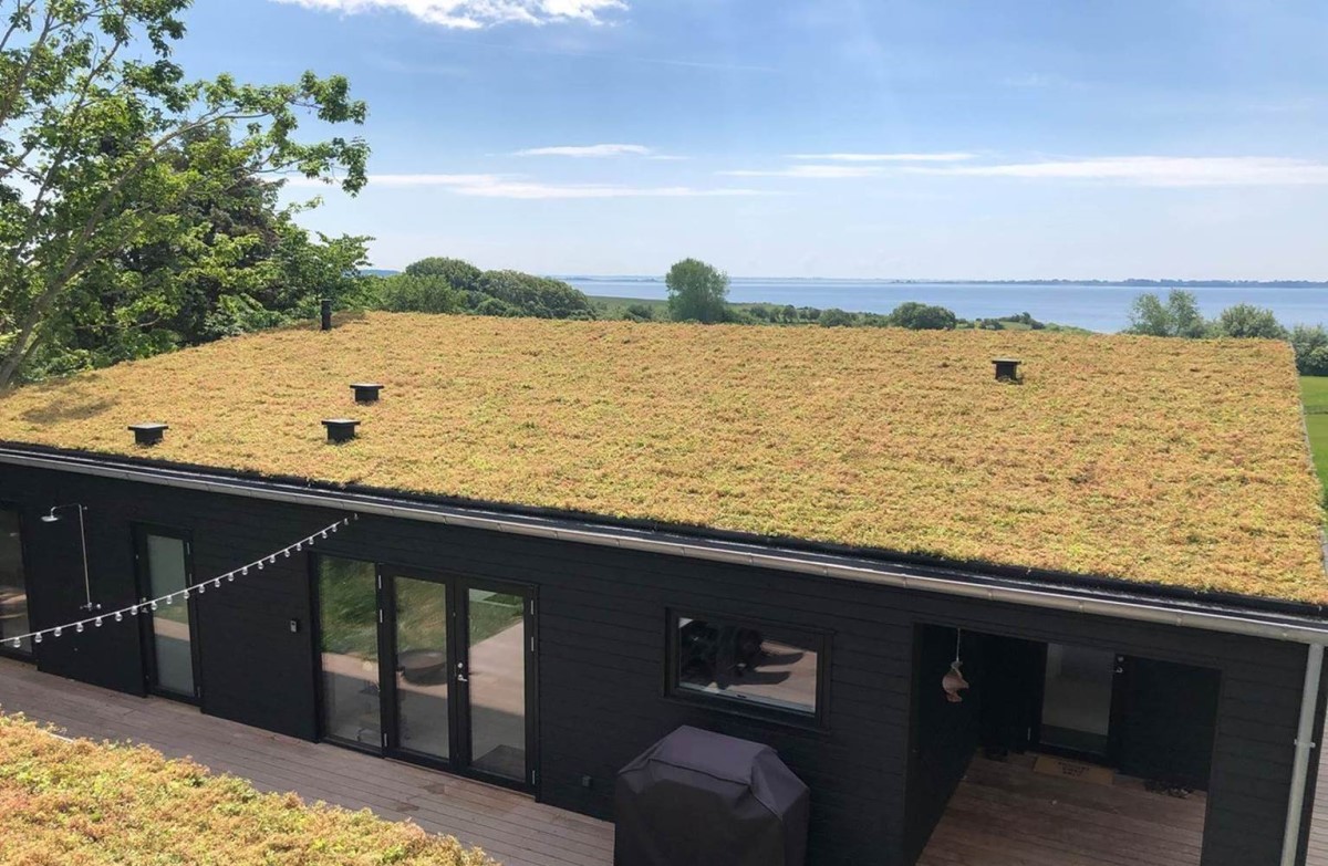 Sedum tag på sommerhus - Se hos Stenhøj Husene